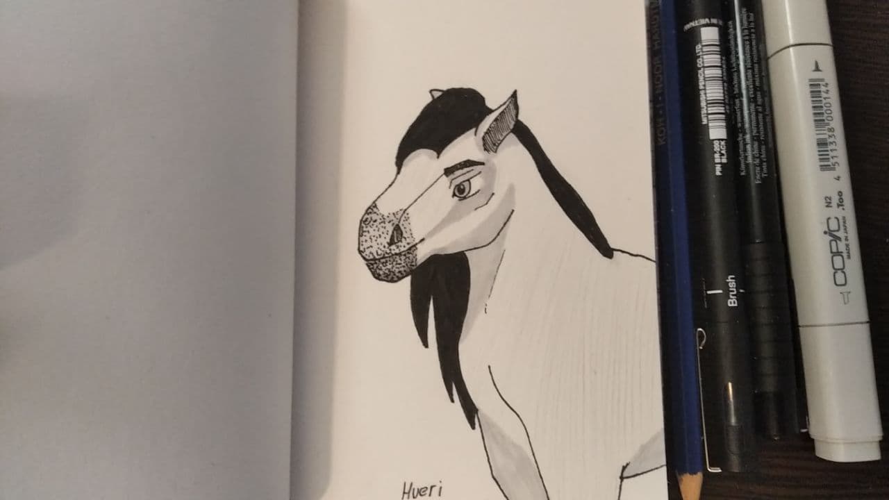 Spirit Stallion Of The Cimarron Drawings In Pencil