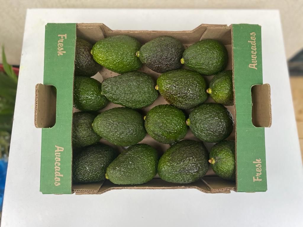 Mandefro Nigussie (@mandefro_niguss) | Twitter