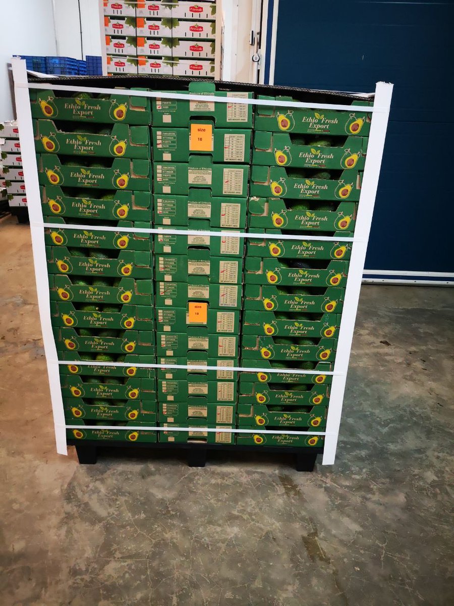 Mandefro Nigussie (@mandefro_niguss) | Twitter