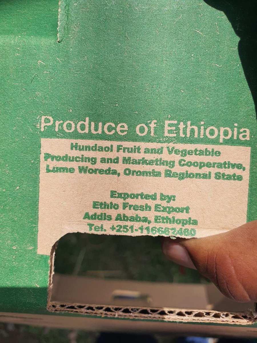 Mandefro Nigussie (@mandefro_niguss) | Twitter