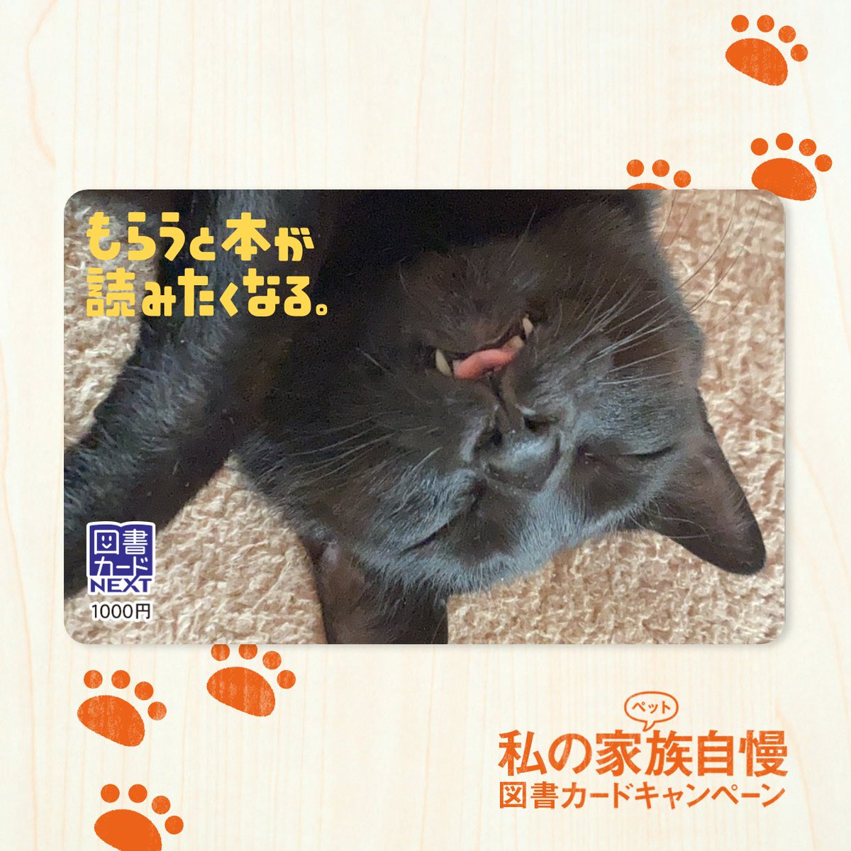 moco&mike (@mocomike1) | Twitter