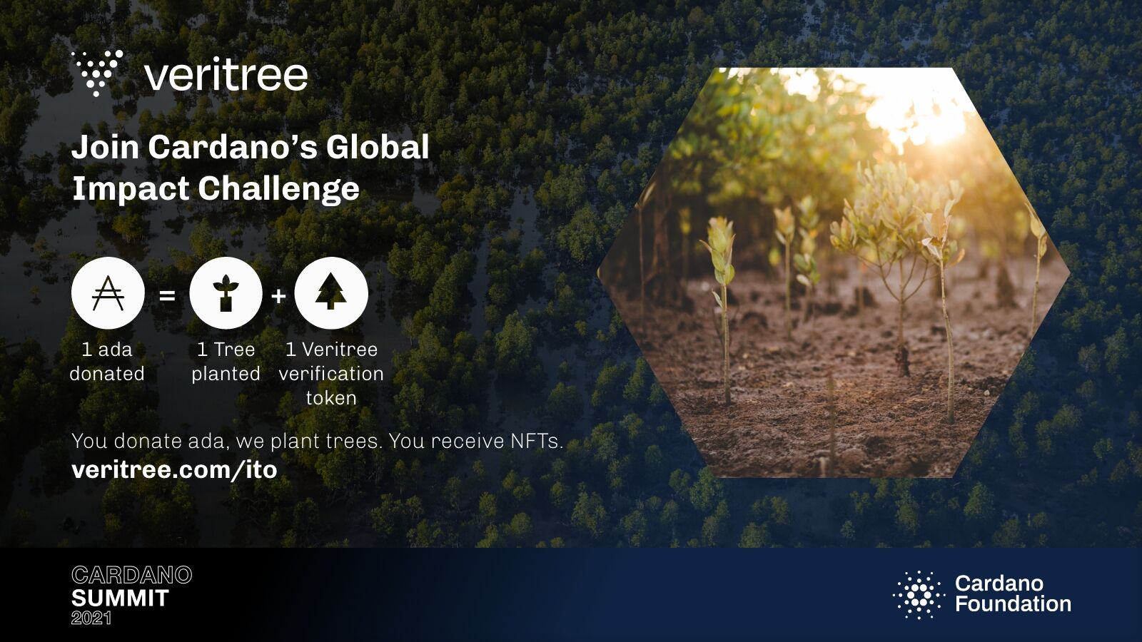 Cardano Foundation on Twitter: "If you love trees and love NFTs then you will love the NFTrees ...