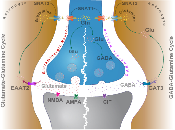 Dana Marafi (@Danamarafi) | Twitter