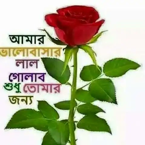 Md Sojan (@MdSojan16289178) | Twitter