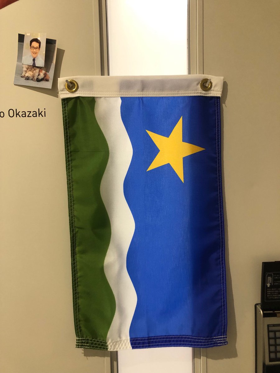 The North Star Flag: A Proposal for a New Minnesota State Flag