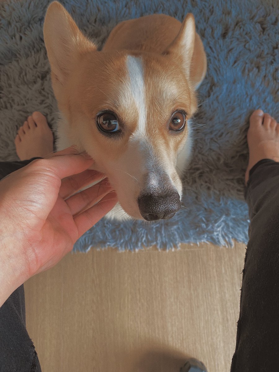 Phong 👨🏻‍💻 (@passioncorners) | Twitter