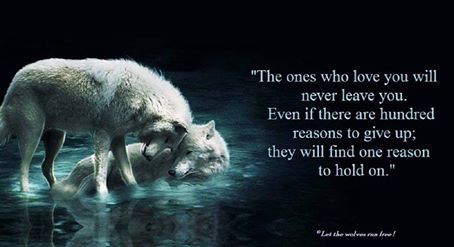 Wolf Love Quotes