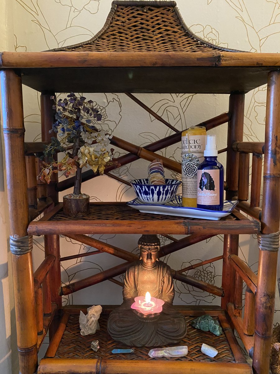 Kaitlyn De Leonardis (@_Cosmic_k8) | Twitter