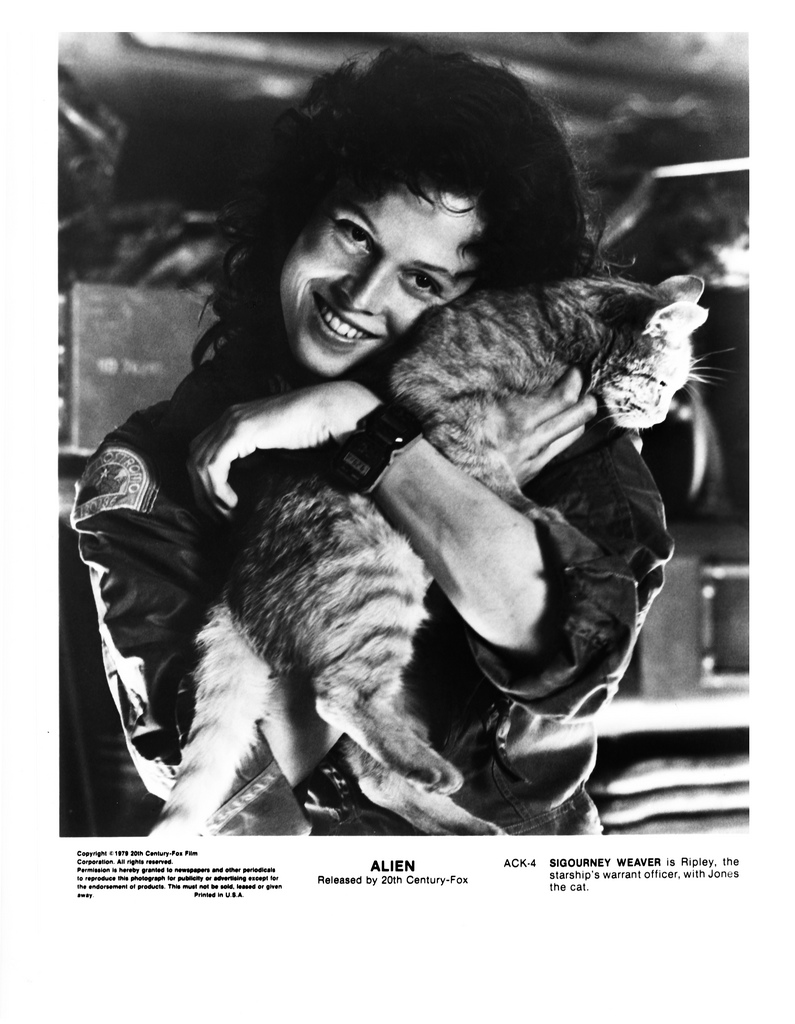 Ellen Ripley Cat