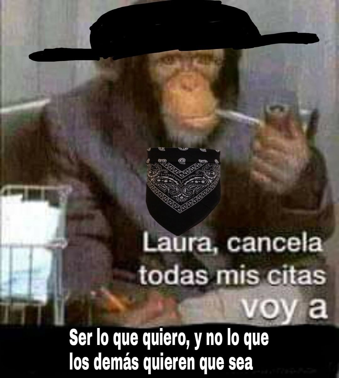 Memes De Changos