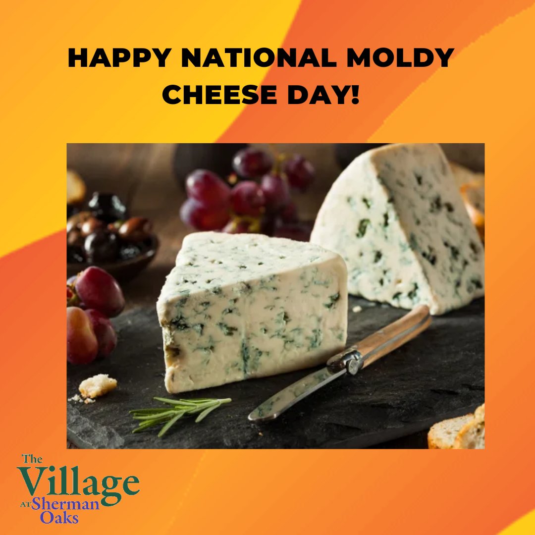 Moldy Cheese Day