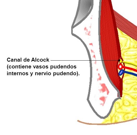 Otro atrapamiento nervioso difícil de diagnosticar es el atrapamiento ...