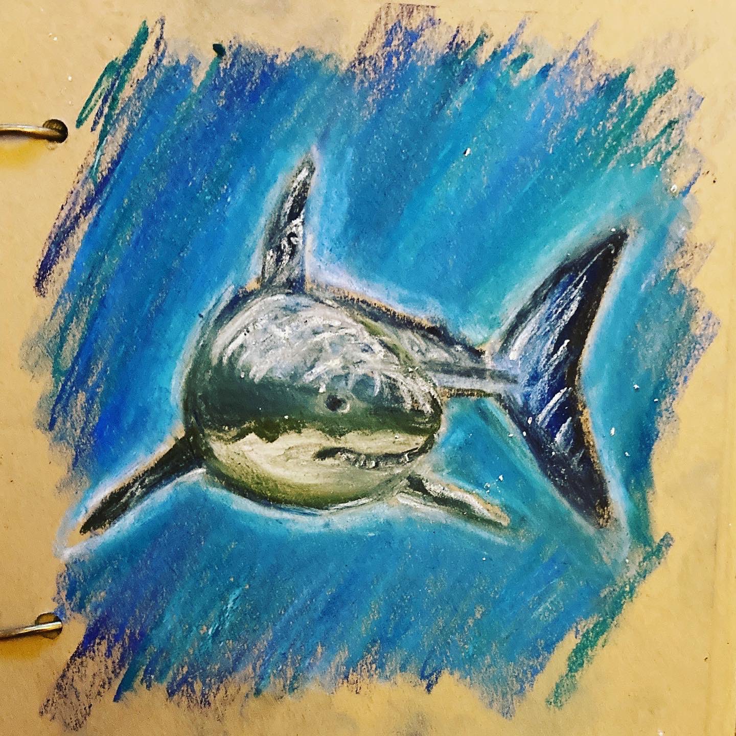 Oil Pastel Drawings Of Animals