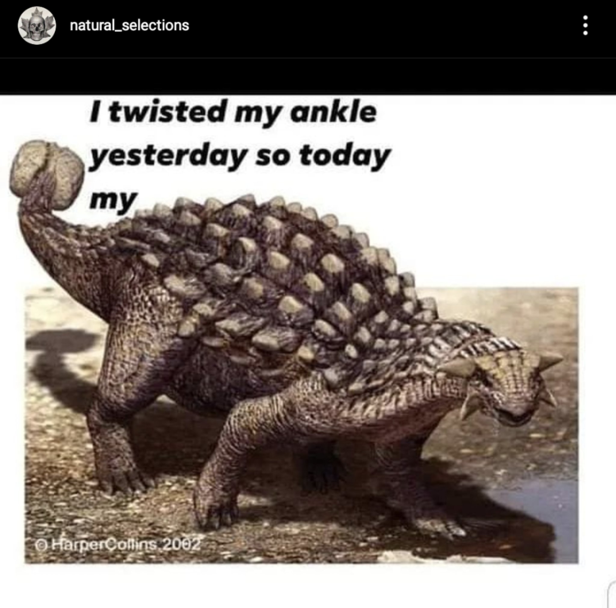 Rolled Ankle Memes I DonT Always Roll A Joint But When I Do ItS My