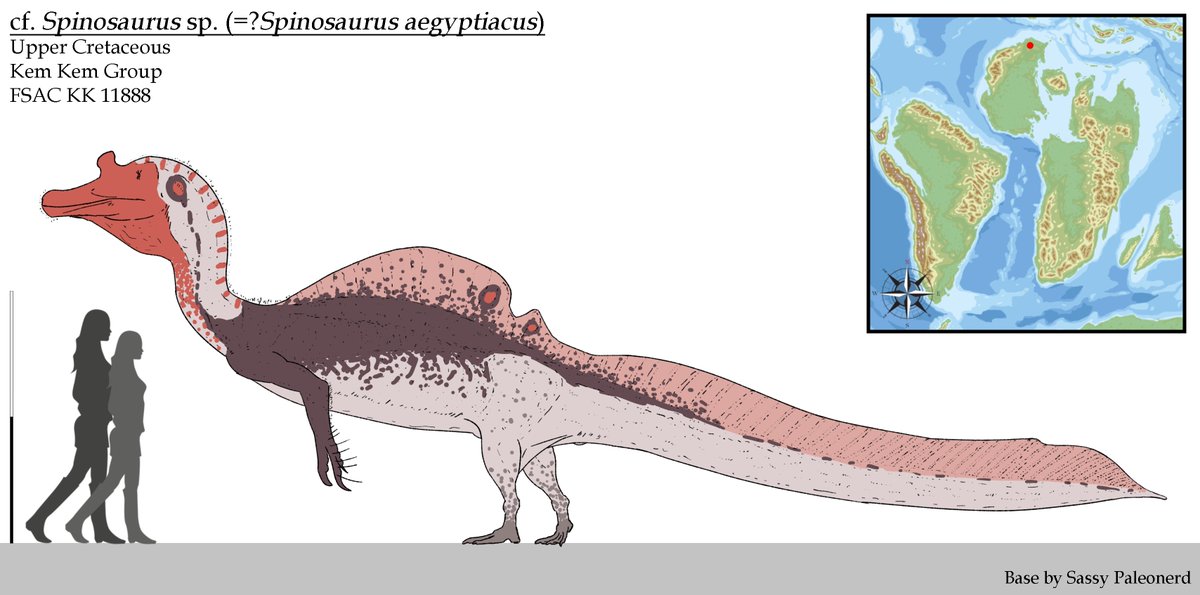 Sigilmassasaurus