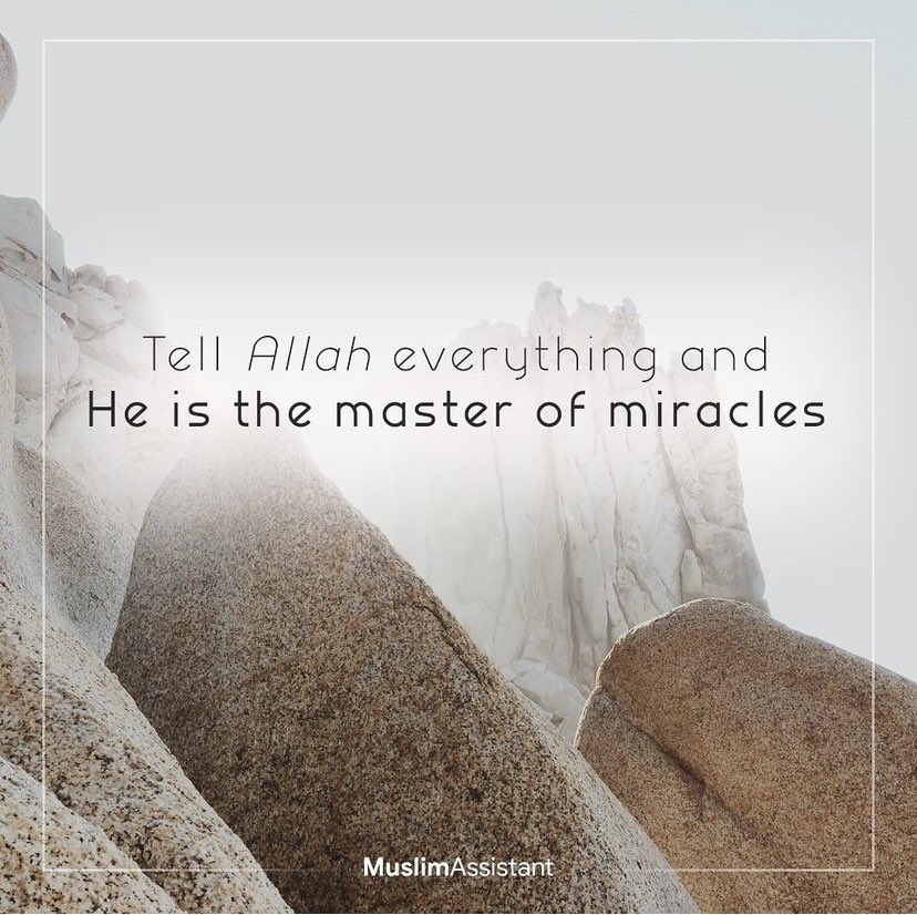 Miracles Of Allah Pictures