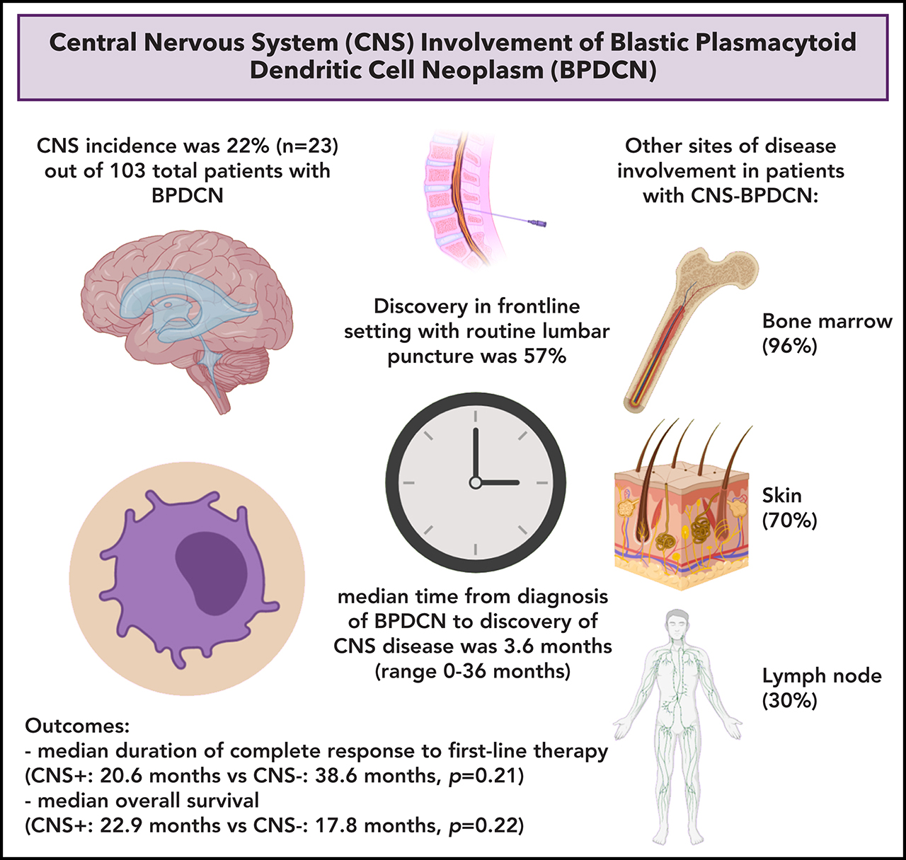 Dendritic Cells Diagram