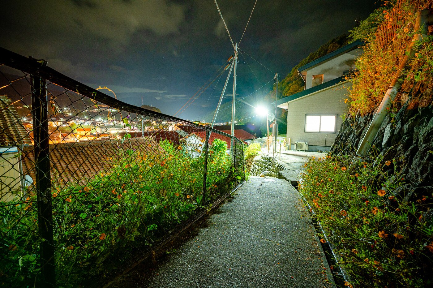 dokubutu on Twitter: "ﾖﾙﾉ ｻｶｽｷｰ。 https://t.co/lC1bWD0wXb" / Twitter