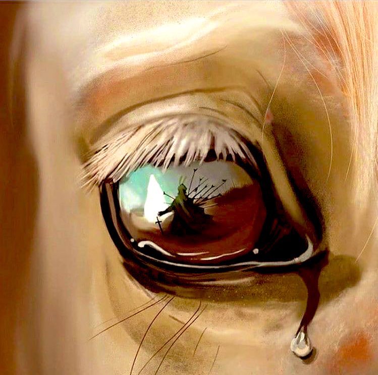 Imam Hussain Horse Name Death Of Imam Hussein Hi Res Stock Photography