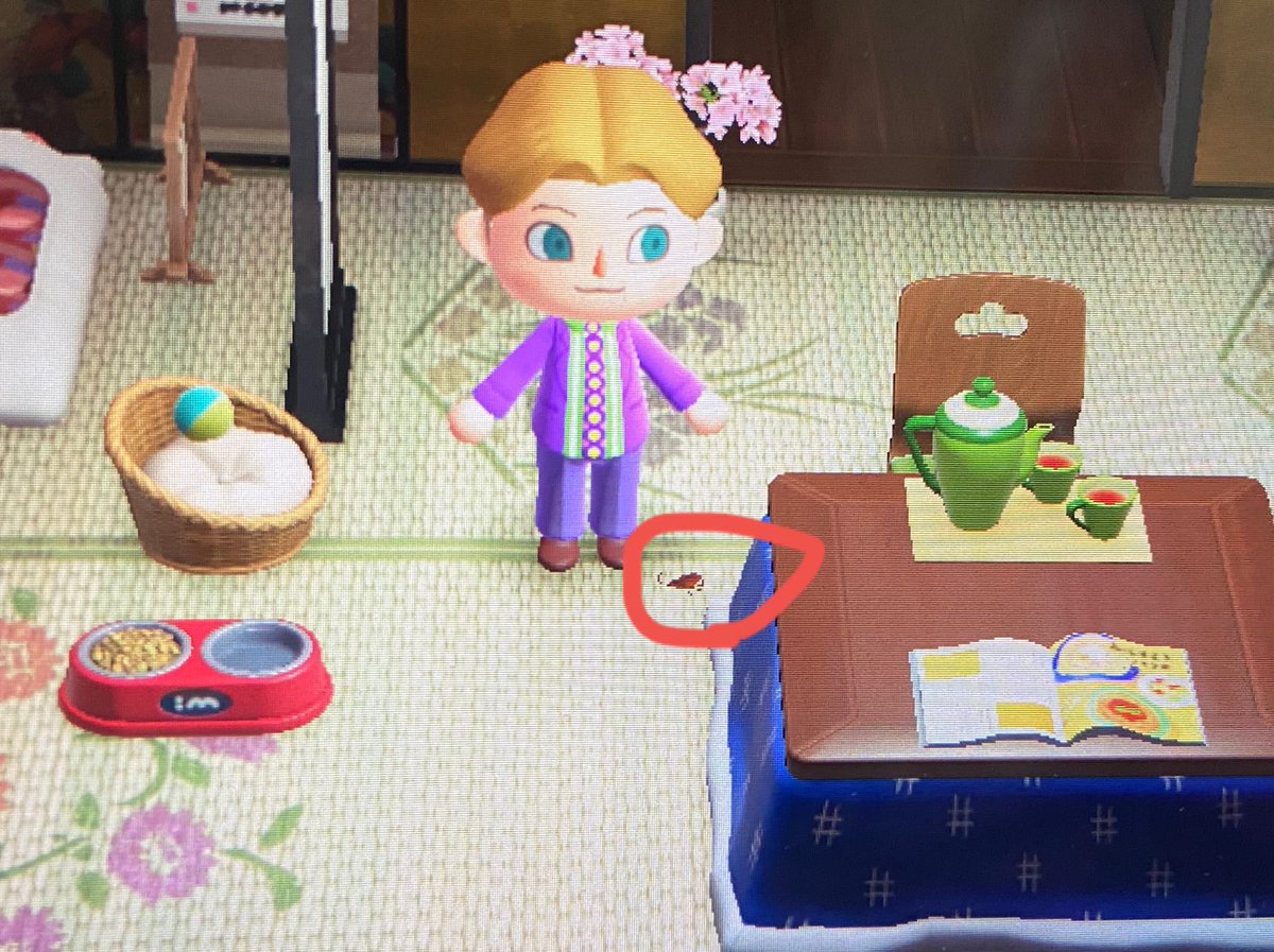 吉良、ゴキブリがいるぞ! ！😰