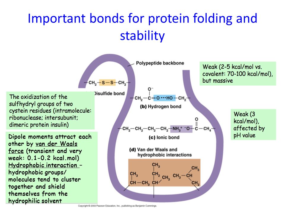 Van Der Waals Forces