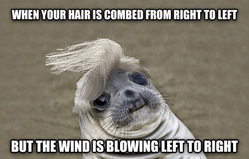 Hair Blowing In The Wind Meme