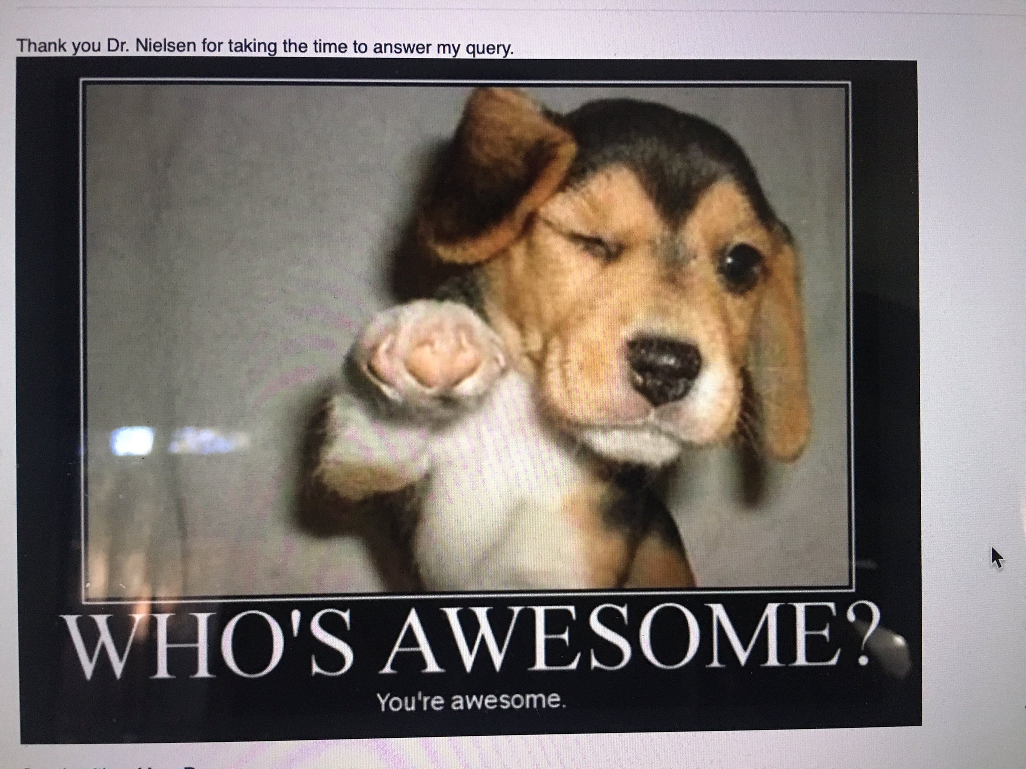 Whos Awesome Dog Wallpaper