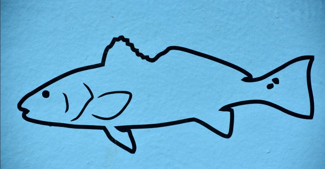 Redfish Outline Decal