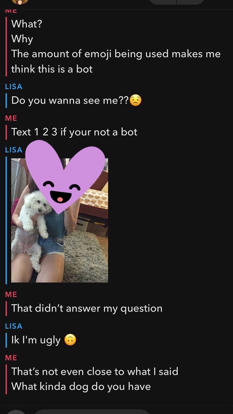 Snapchat Bots 2021