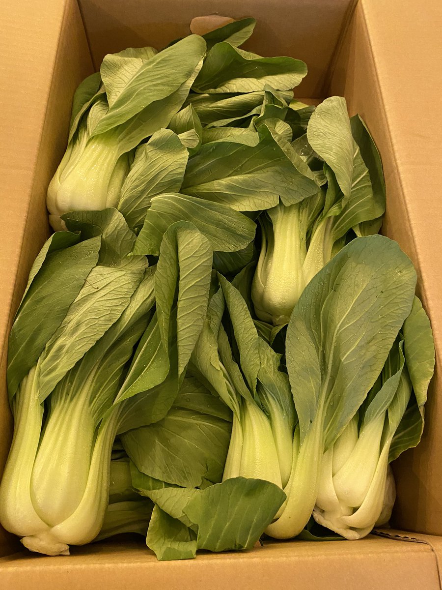 【公式】nomade kitchen (@NomadeKitchen) | Twitter