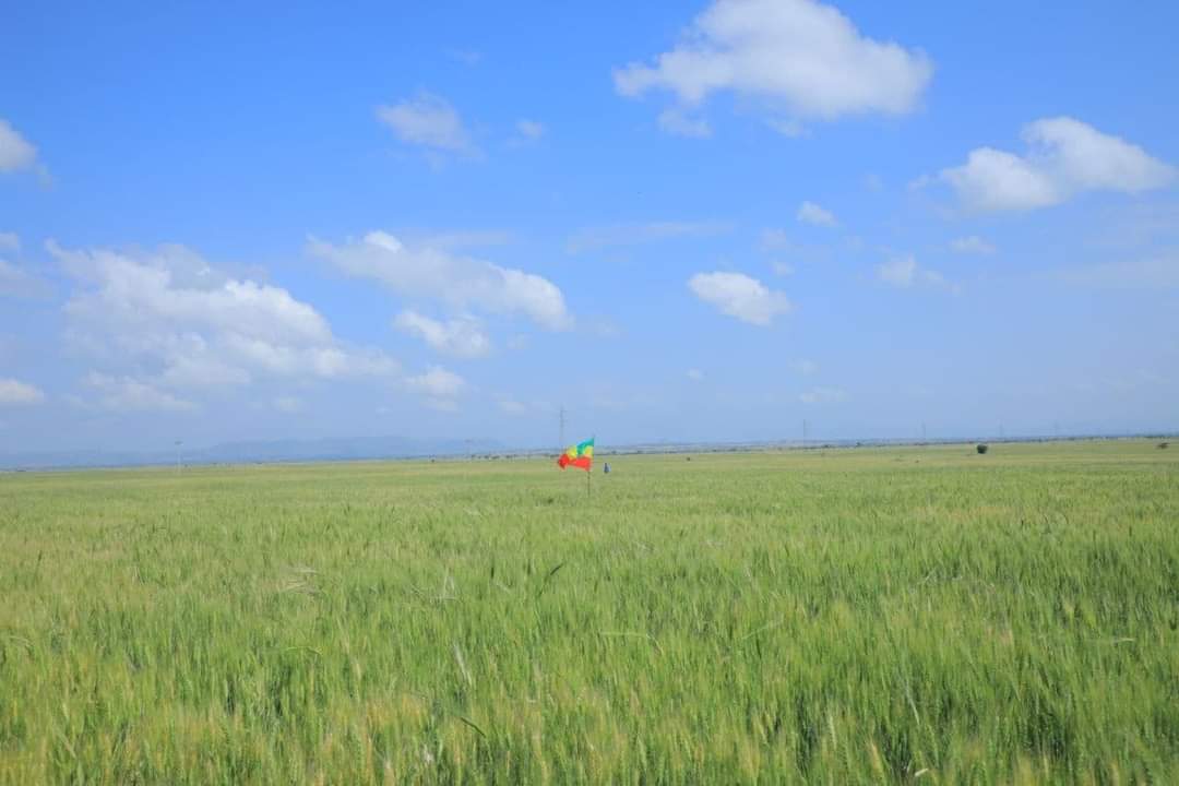 ከይርያ ሡልማን (@s48M6oOlnwMKrCV) | Twitter