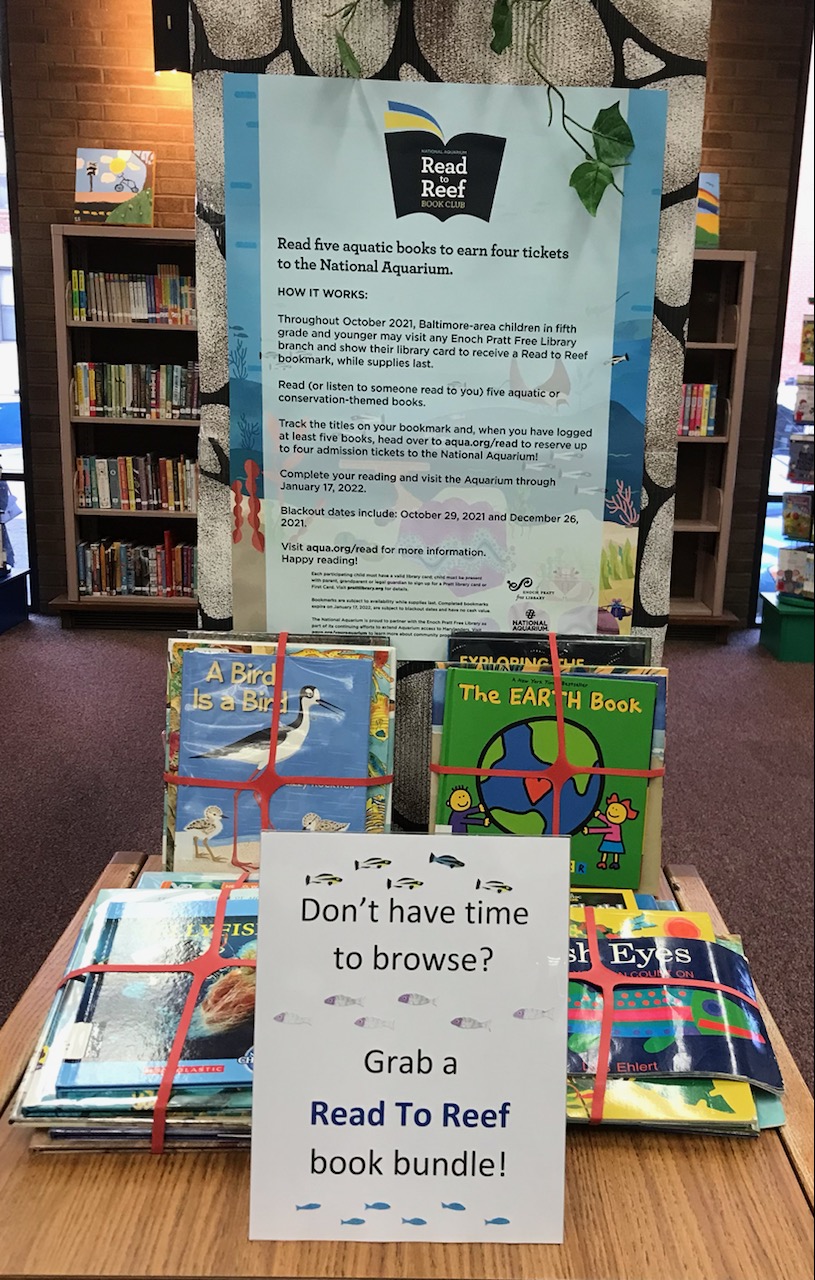 October Book Display Ideas