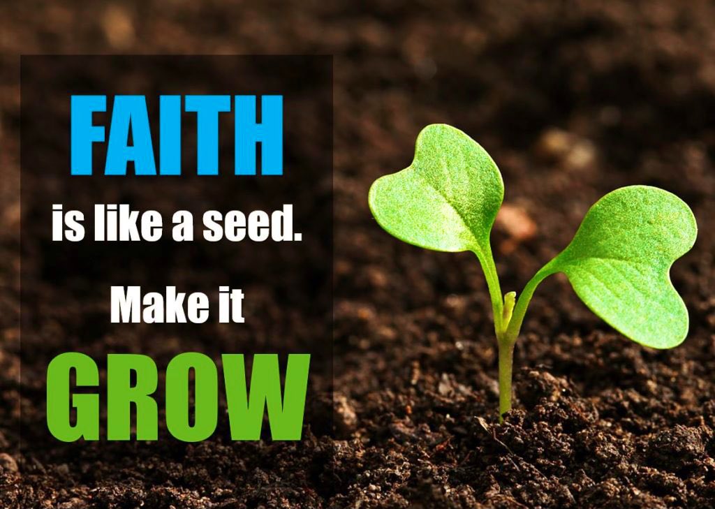 Planting The Seed Of Christ