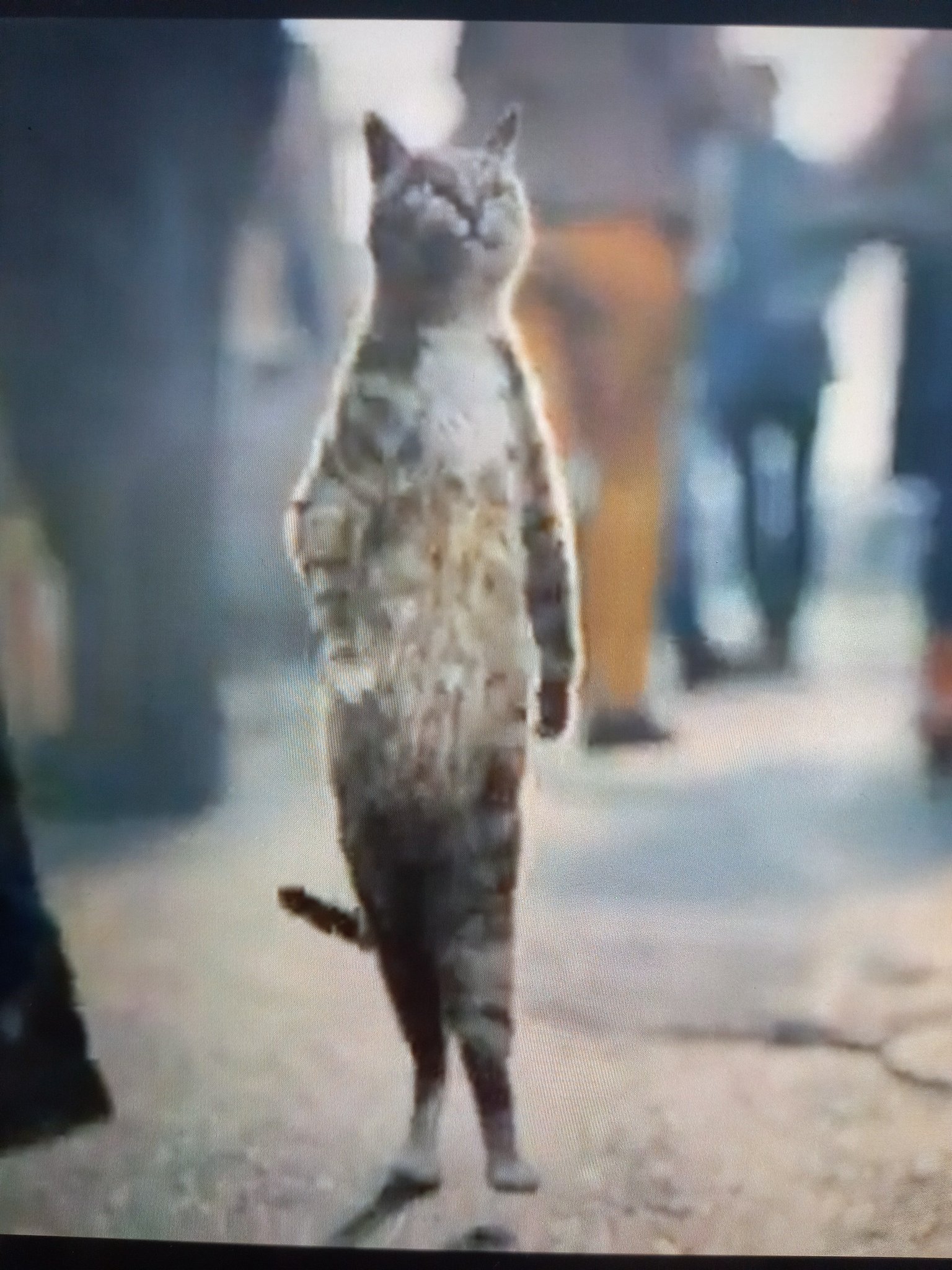 Standing Cat In Overalls