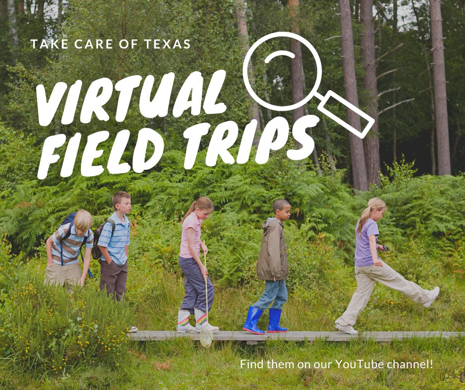 Virtual Field Trip Forest
