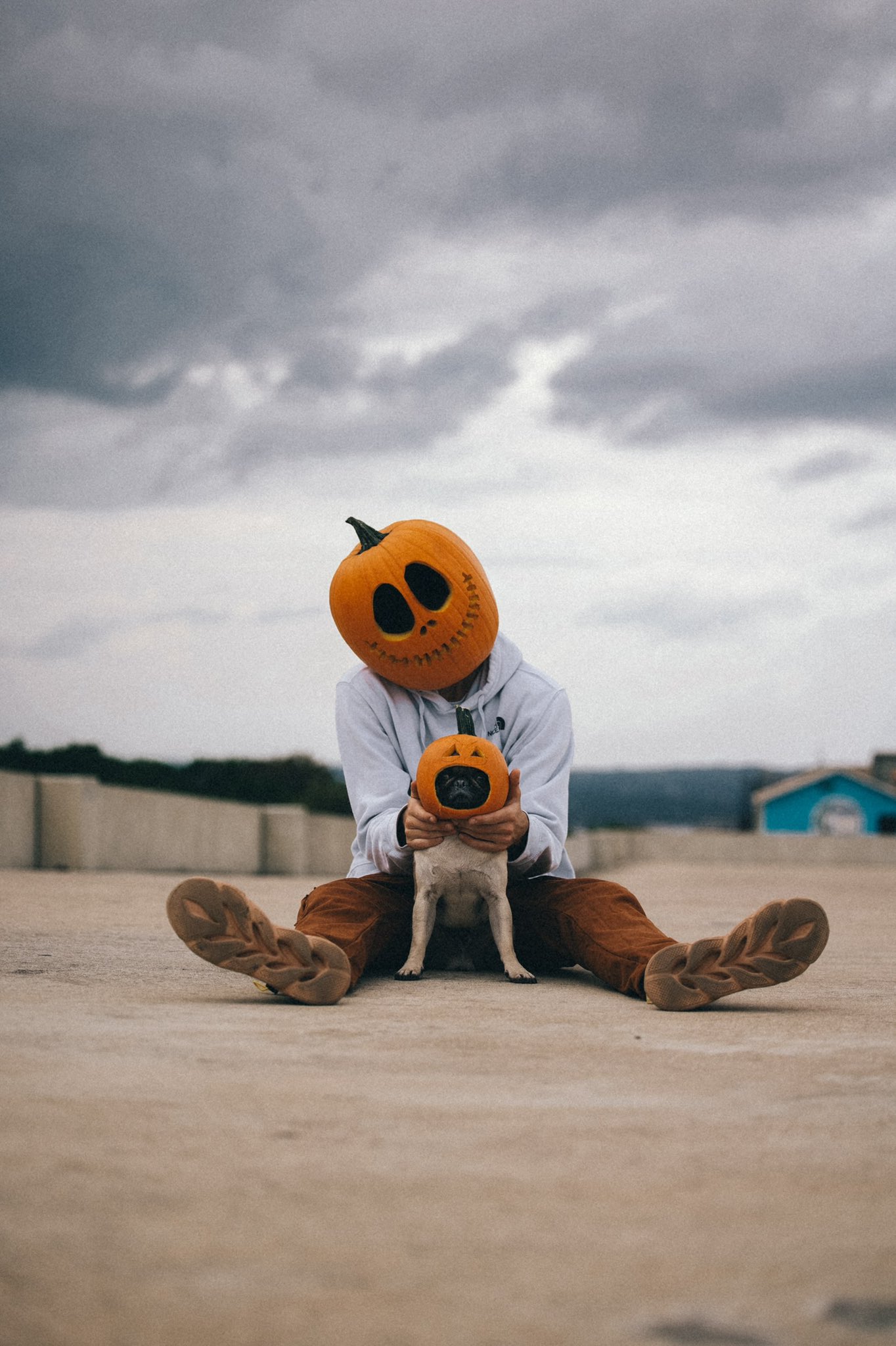 Aydon Holley (@aydon_holley) / Twitter