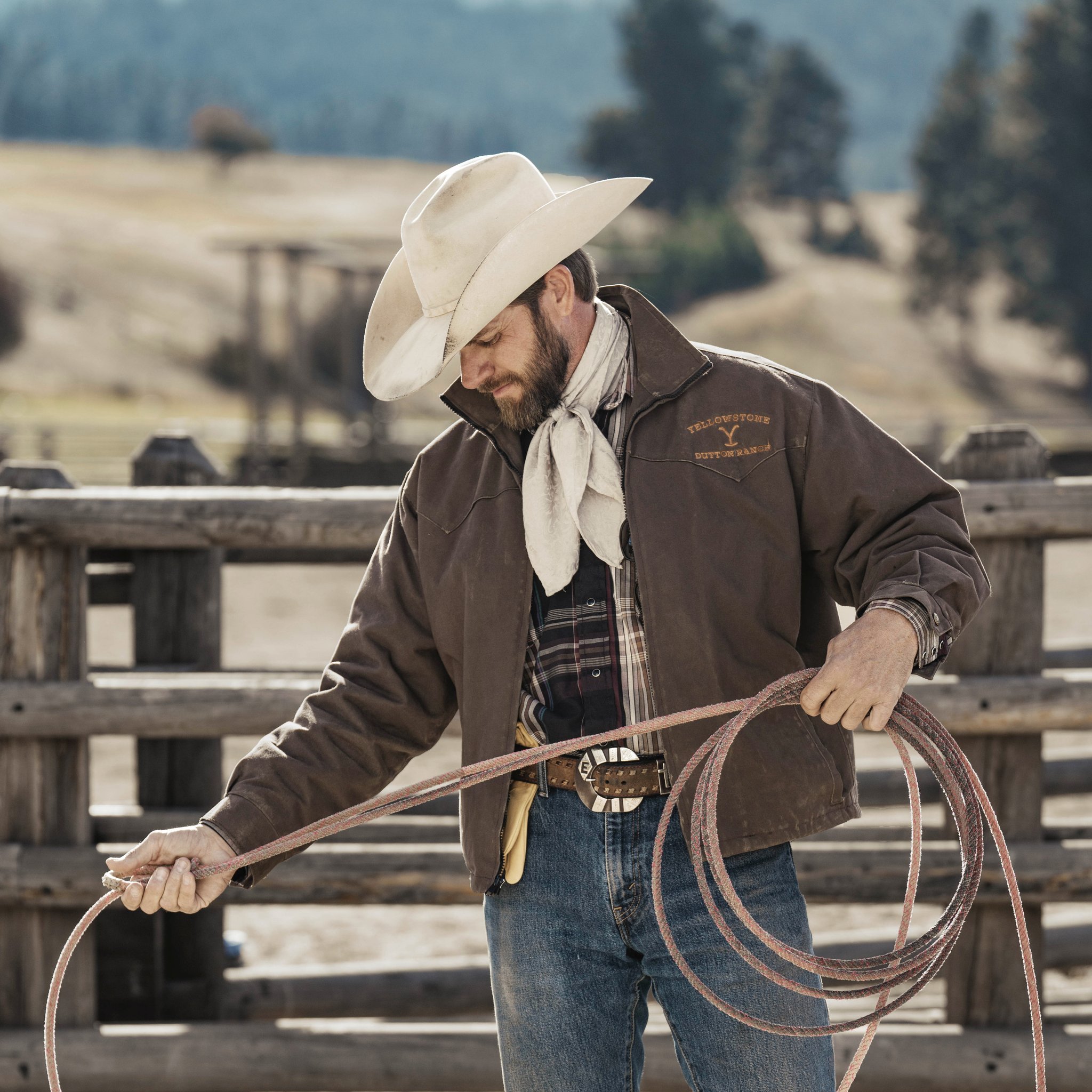 What Happened To Lee On Yellowstone - News of Celebrity