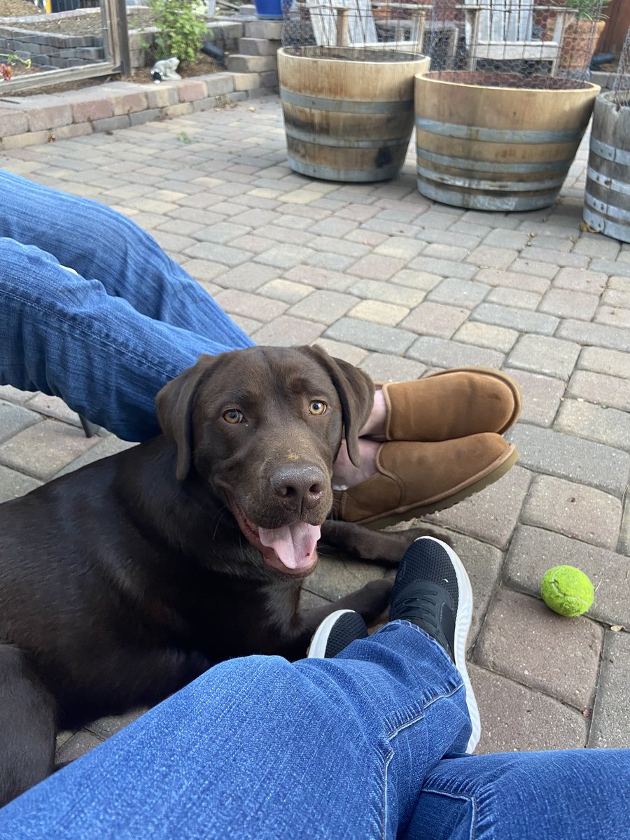 Maverick (@Mav_Lab) | Twitter