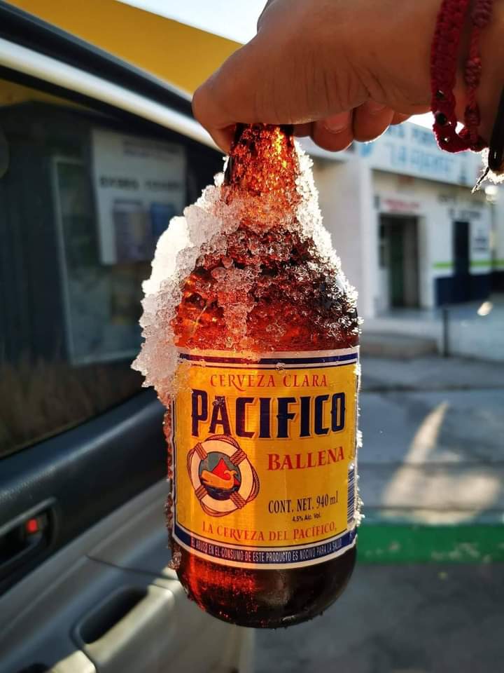 Cerveza Pacifico Ballena