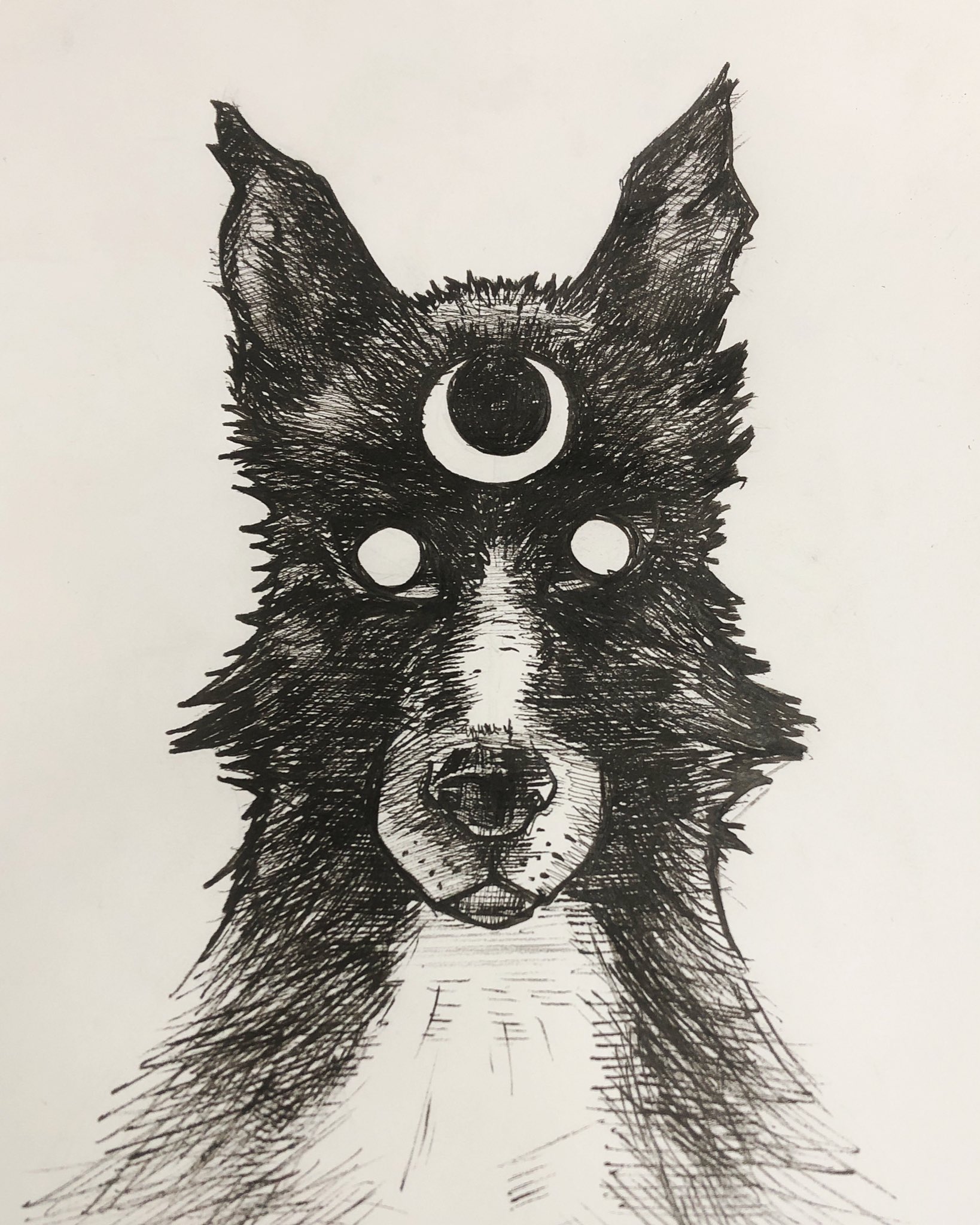 Hellhound Dog Drawing