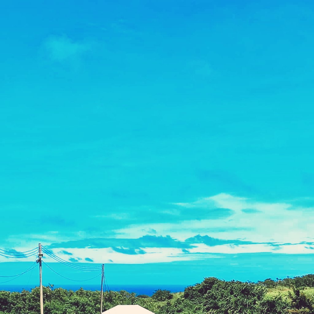 Taurean Gibson (@gibson_taurean) | Twitter