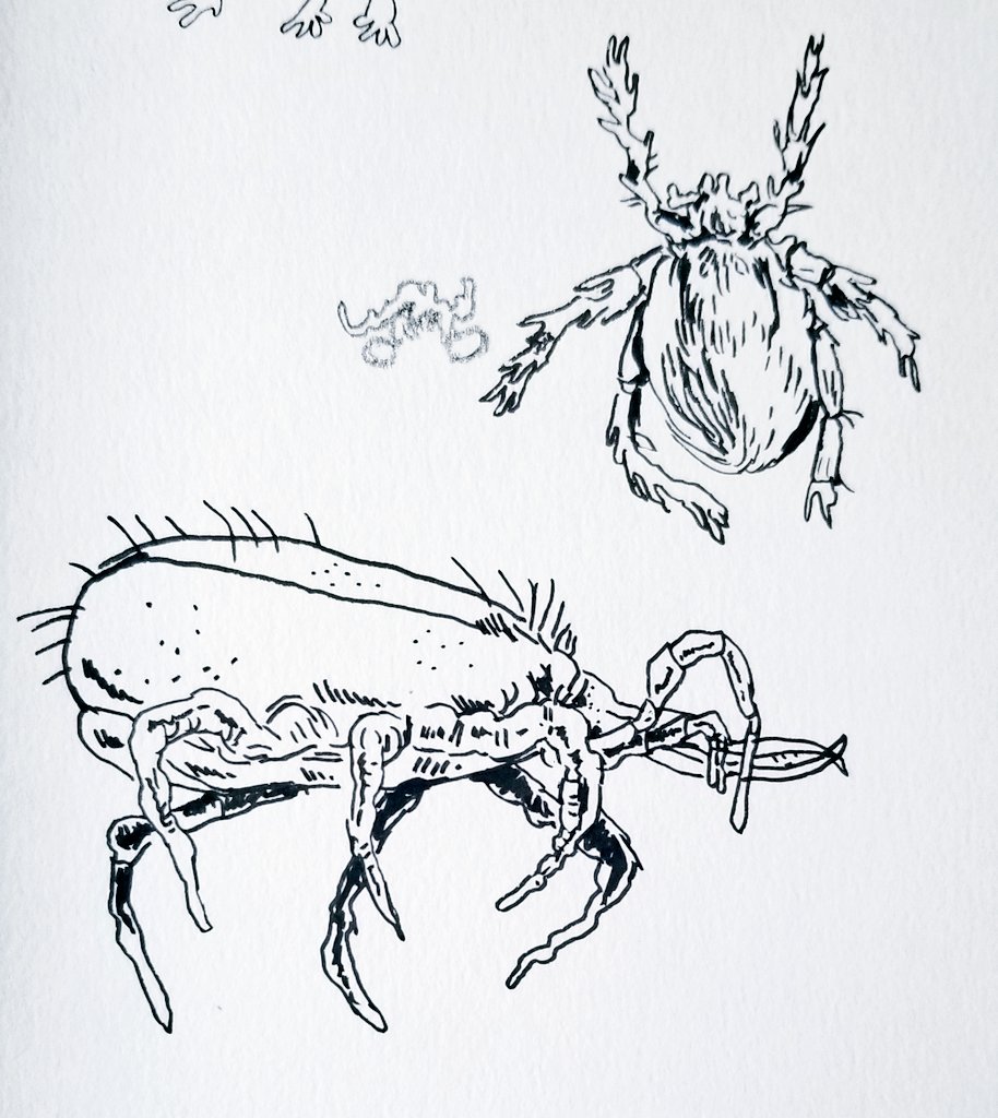 「finished bug doodle requests!!!! 」they call me pepto because im abysmalの漫画