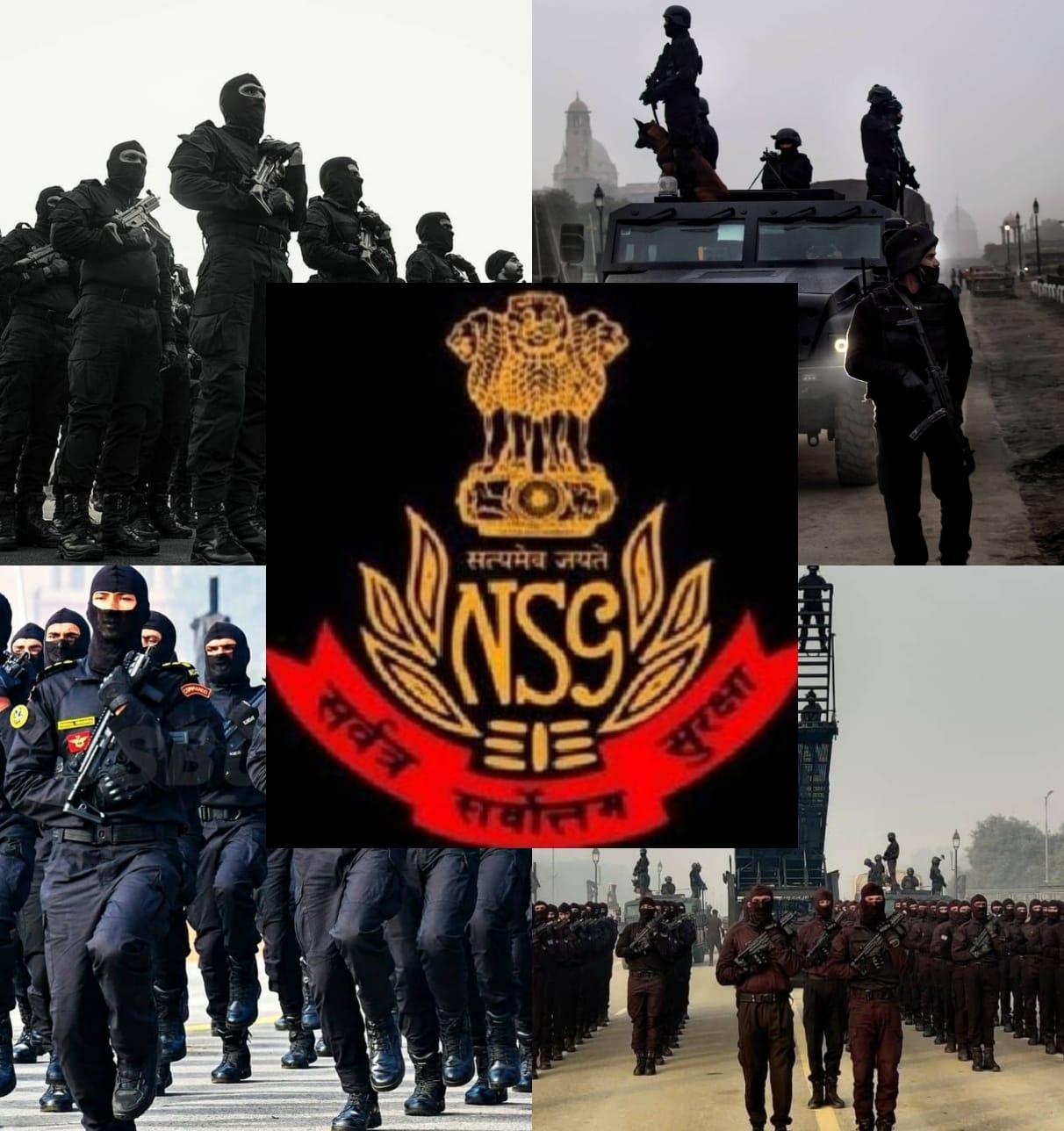 Logotipo De Nsg India