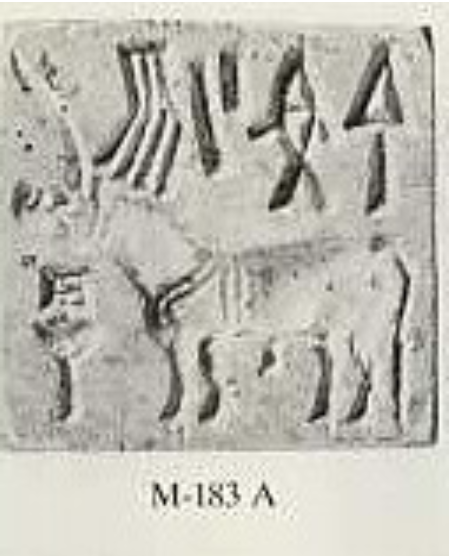 Thread by @yajnadevam on Thread Reader App – Thread Reader App