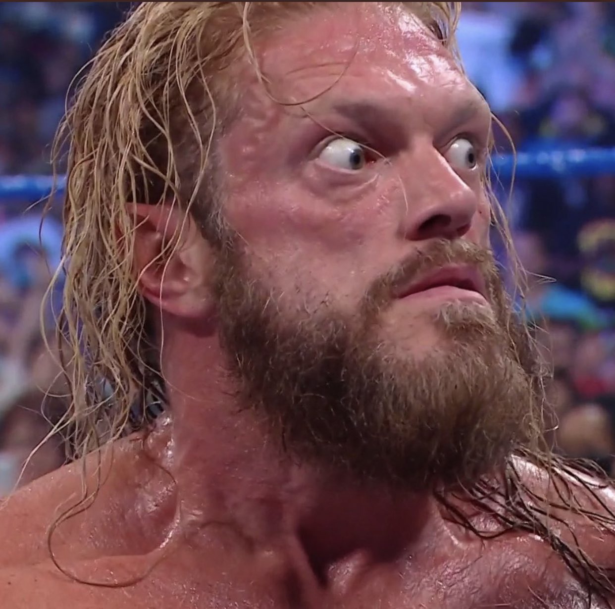 Wwe Funny Faces