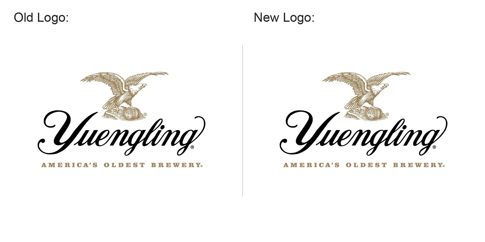 Yuengling Logo Vector