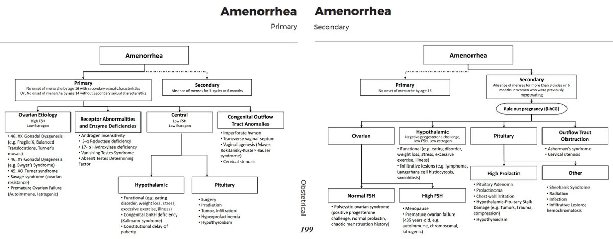 Primary Amenorrhea Algorithm