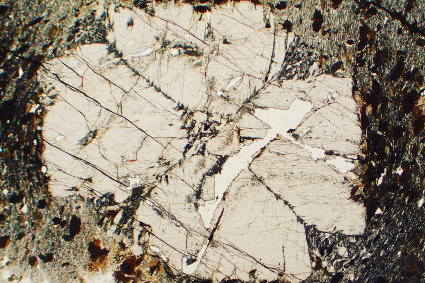 Andalusite Thin Section