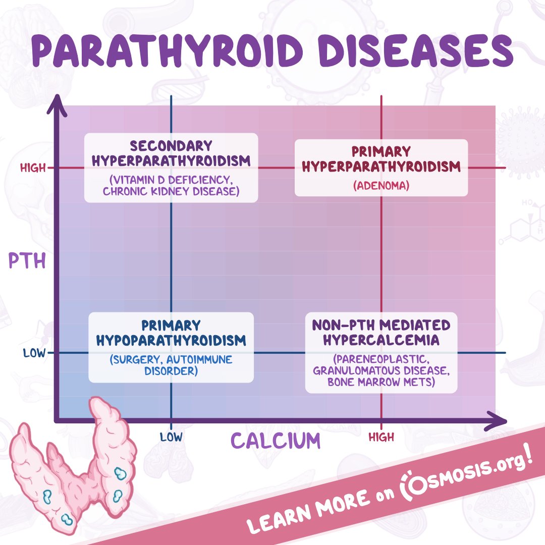 Primary Hyperparathyroidism Diagnosis, 50% OFF