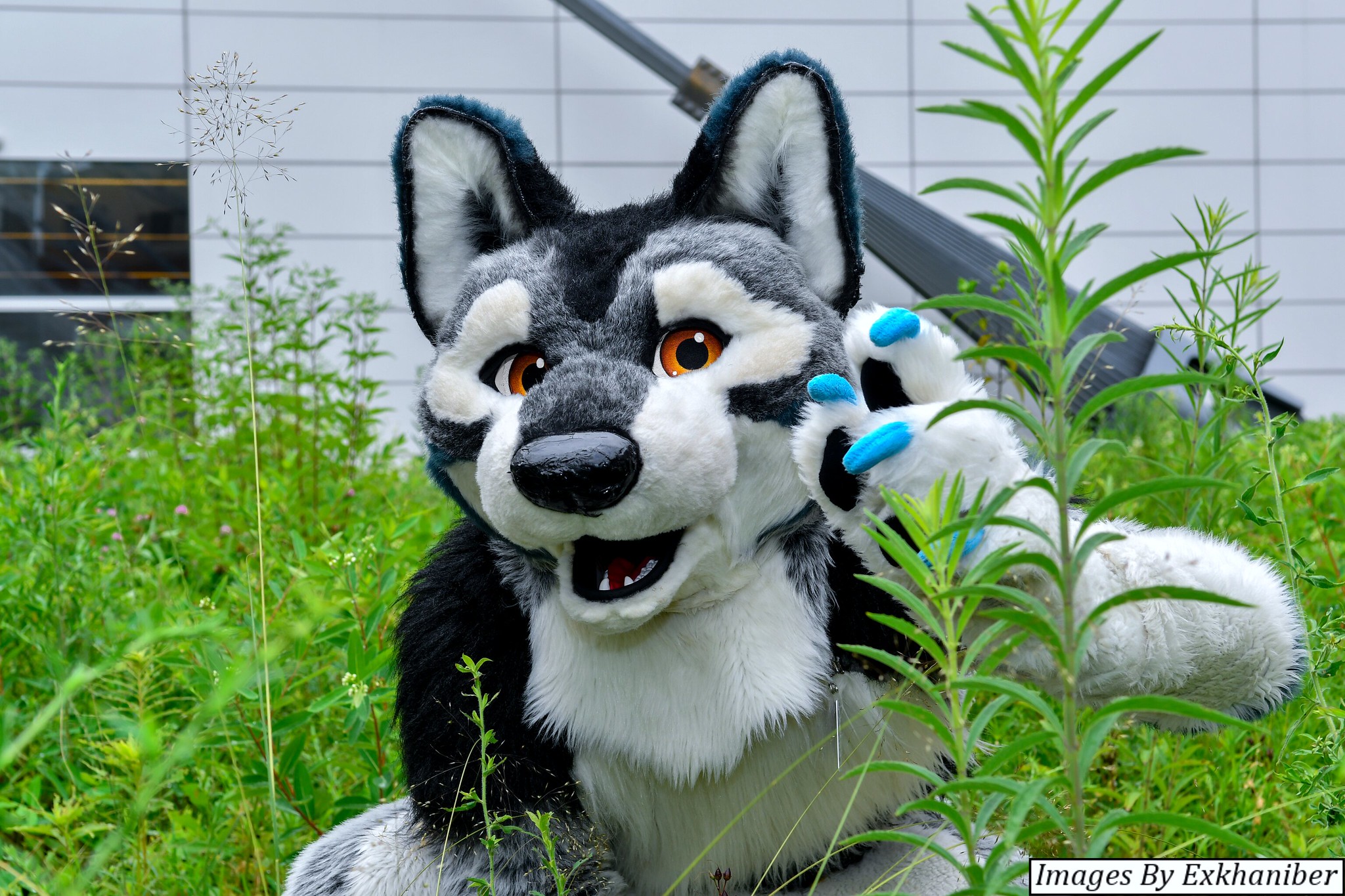 Anthrocon 101 For Kids And Parents – EMXE